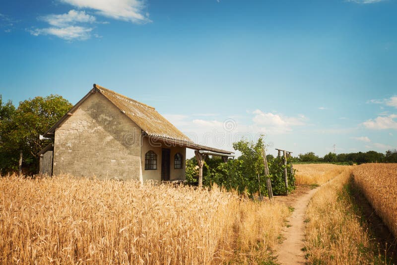 House on field stock image. Image of farmland, cottage - 56722565