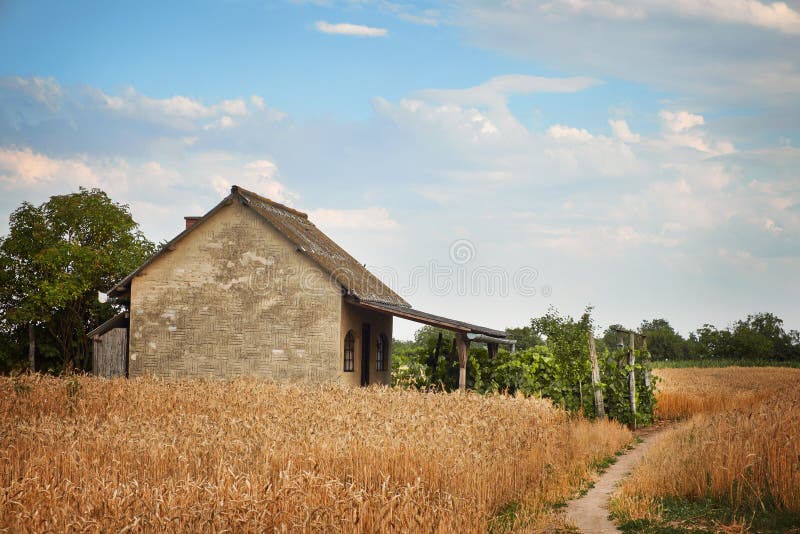 House on field stock photo. Image of garden, background - 56722704
