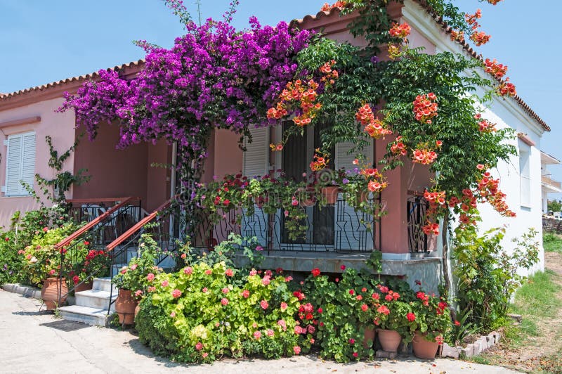 House flowers stock image. Image of beautiful, garden - 25466177