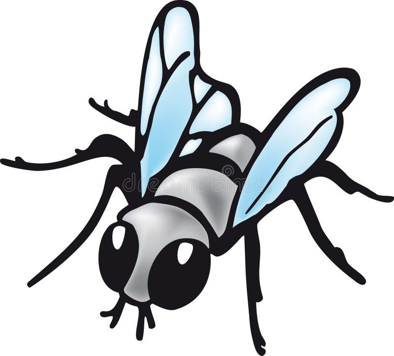 Photographer's Portfolio - Dreamstime