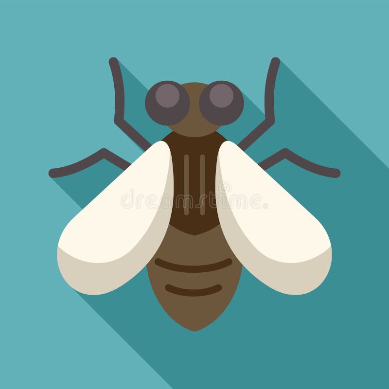 House Fly Spreading Germs with Its Dirty Legs and Wings Stock ...