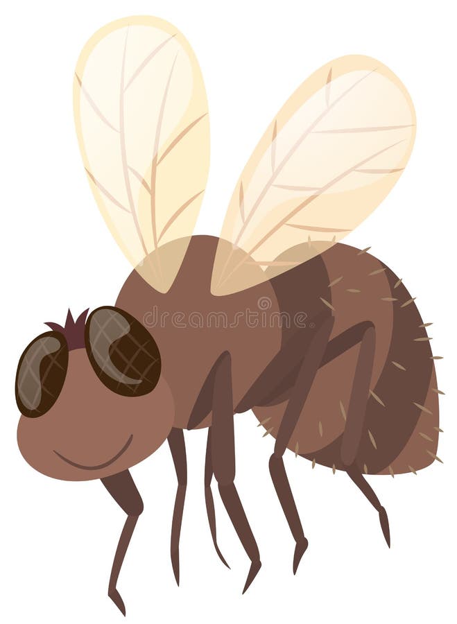 Housefly Flying on White Background Stock Vector - Illustration of ...
