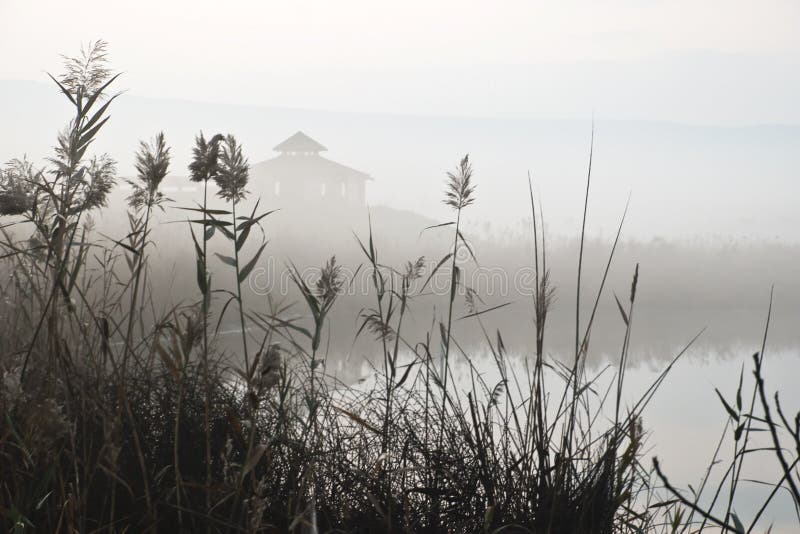 House in the fog stock image. Image of silhouette, sunrise - 20198497