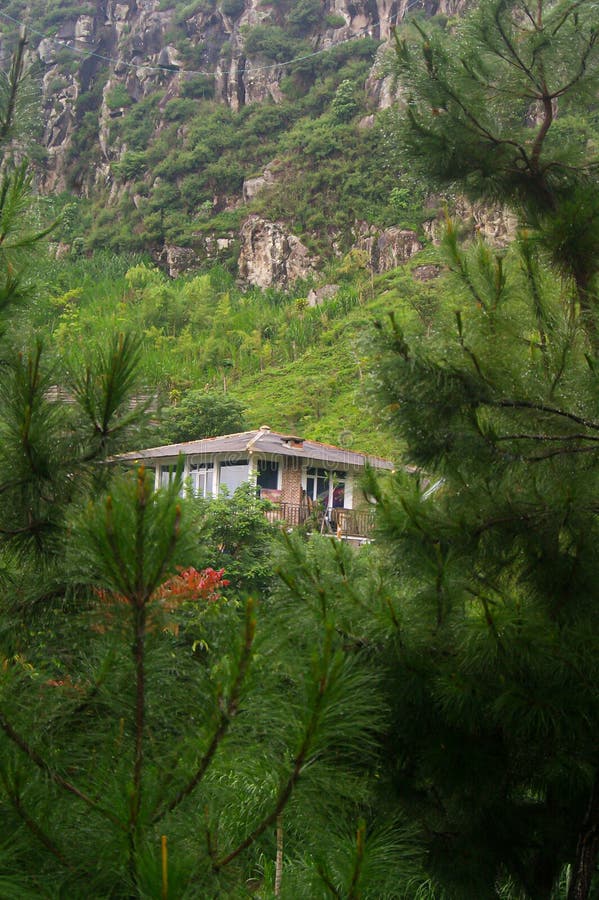 The House at the Foot of the Mountain is Visible between the Pine Trees ...
