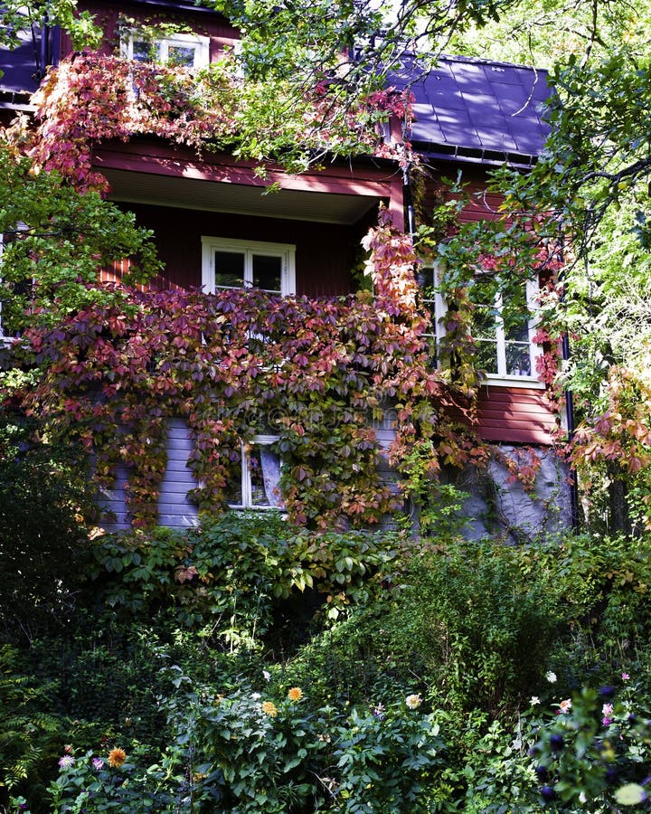 An House in the Forest in Autumn Stock Image - Image of autumn, wood ...