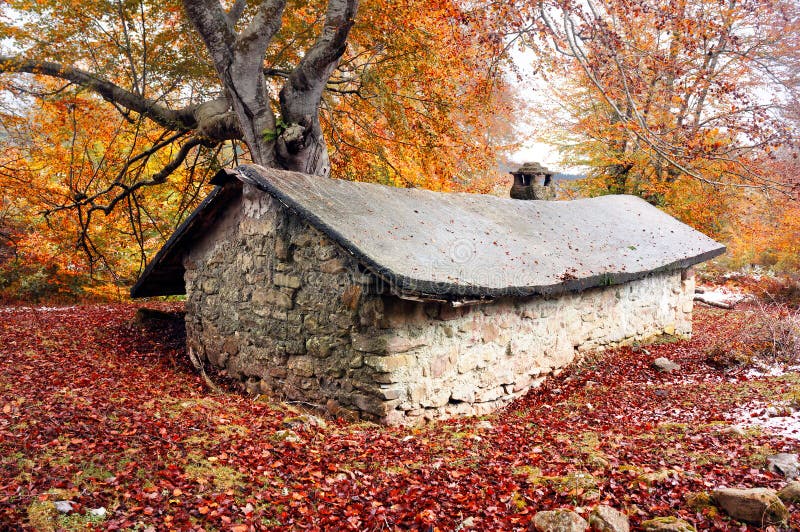 House in autumn forest stock photo. Image of tree, pastoral - 32380698