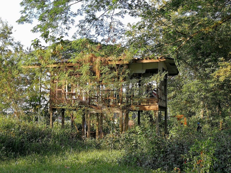 House in forest stock image. Image of home, forest, house - 145134953