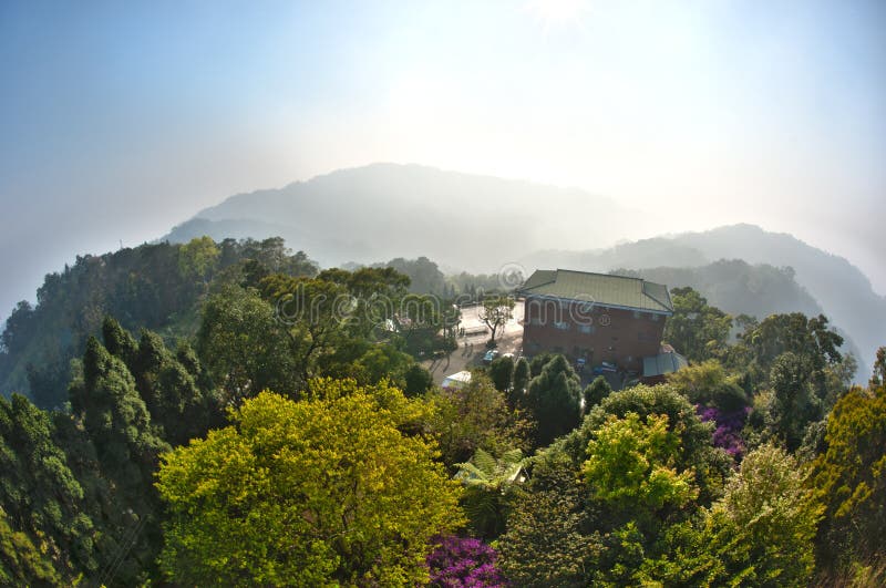 A house in the forest stock photo. Image of sunny, wild - 30757388