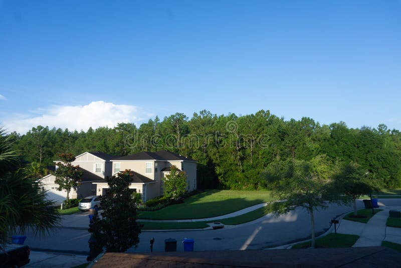 A House and Forest in the Morning Editorial Image - Image of light ...