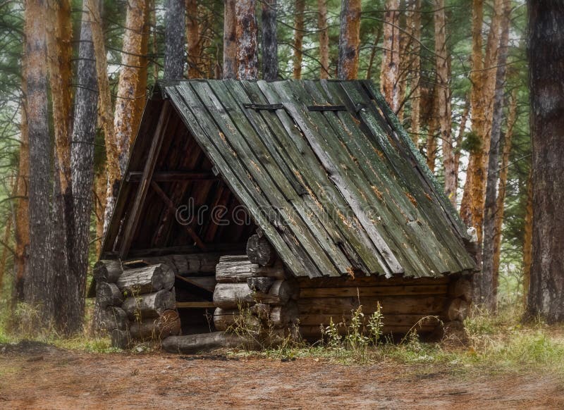 House in the forest stock photo. Image of dark, idyllic - 265656142