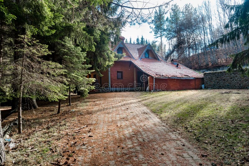 House in the Forest among Pine Trees Stock Image - Image of autumn ...