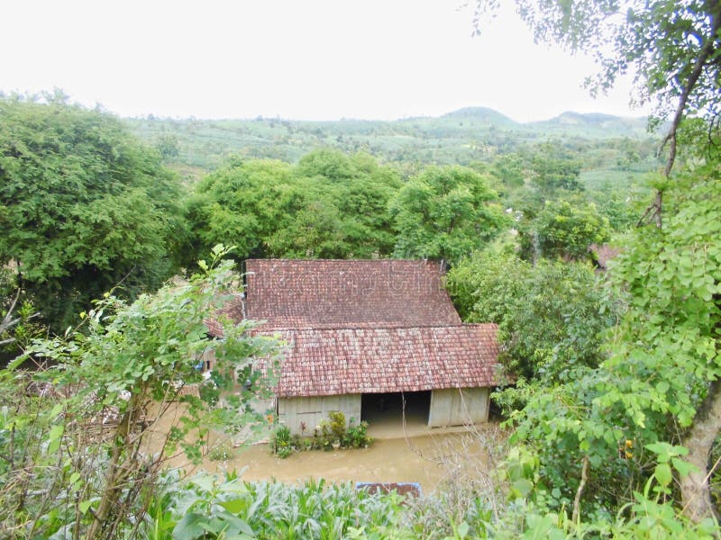 A house in the forest stock image. Image of flower, home - 259993839