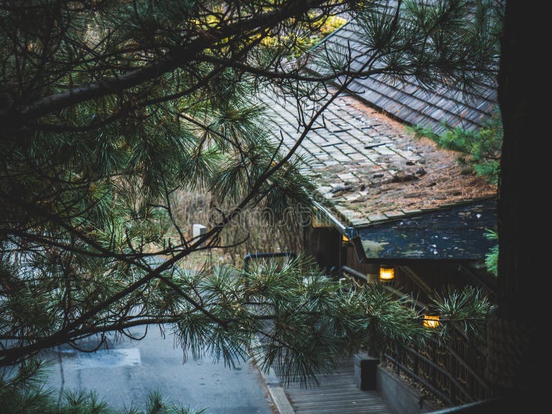 House in the Forest with a View from Behind the Trees Stock Photo ...