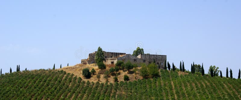 House on grapevine hill stock photo. Image of growing - 10350350