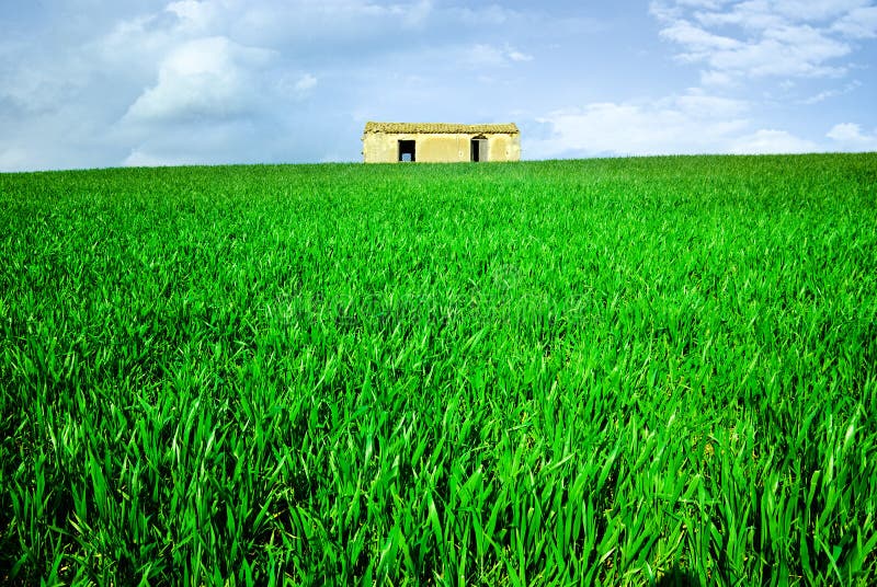 House with green grass stock photo. Image of harvest, farmhouse - 7803764
