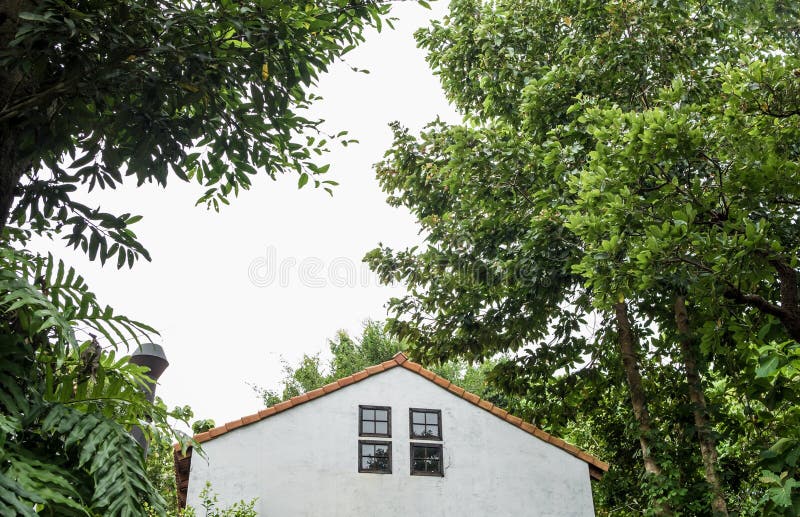 House with Green Tree Forest at Countryside. Stock Image - Image of ...