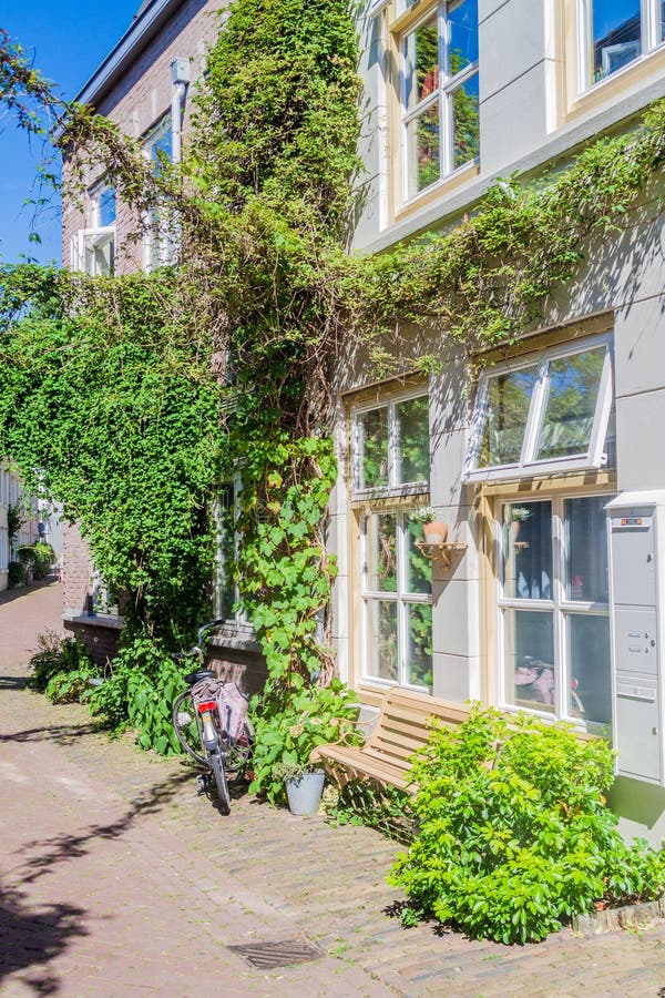 House in a Greenery in Den Bosch, Netherlan Stock Photo - Image of ...