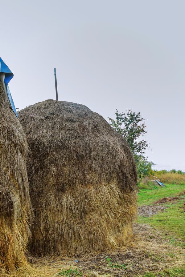 House, Haystack in the Field, in a Carpathian Village, Ukraine Stock ...