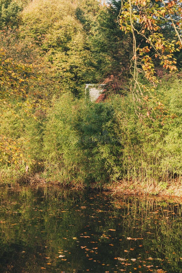 House Hidden in Autumn Forest. Stock Photo - Image of architecture ...