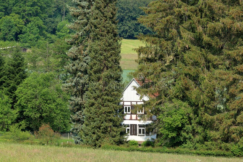 House Hidden on the Edge of the Forest, Lonely and Quiet Stock Image ...