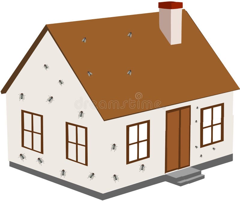 House Fly Musca Domestica Stock Illustrations – 55 House Fly Musca ...