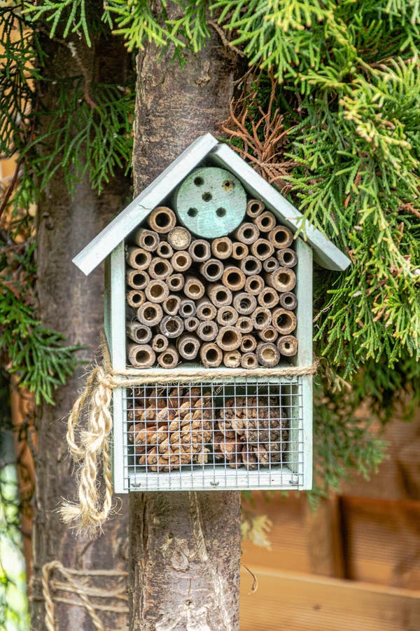 House for Insects. a Flat for Bees Stock Photo - Image of building ...