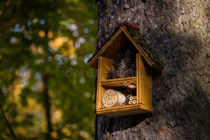 House for insects stock image. Image of macro, architecture - 259093195