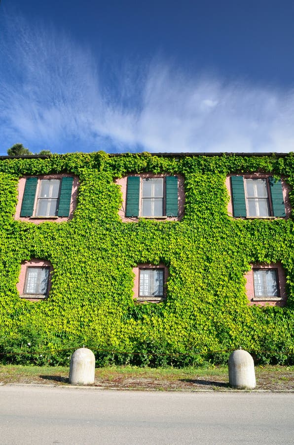 House with ivy stock photo. Image of climbing, park, europe - 46995990