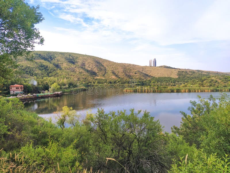 House on the Lake in the Grass Stock Image - Image of summer, trees ...