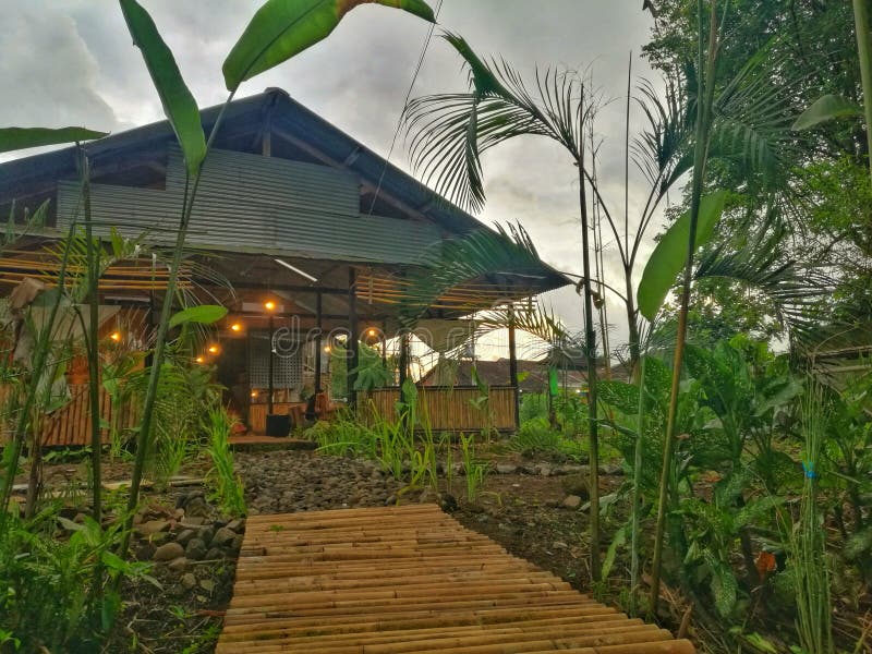 A house made of bamboo stock photo. Image of estate - 238493684