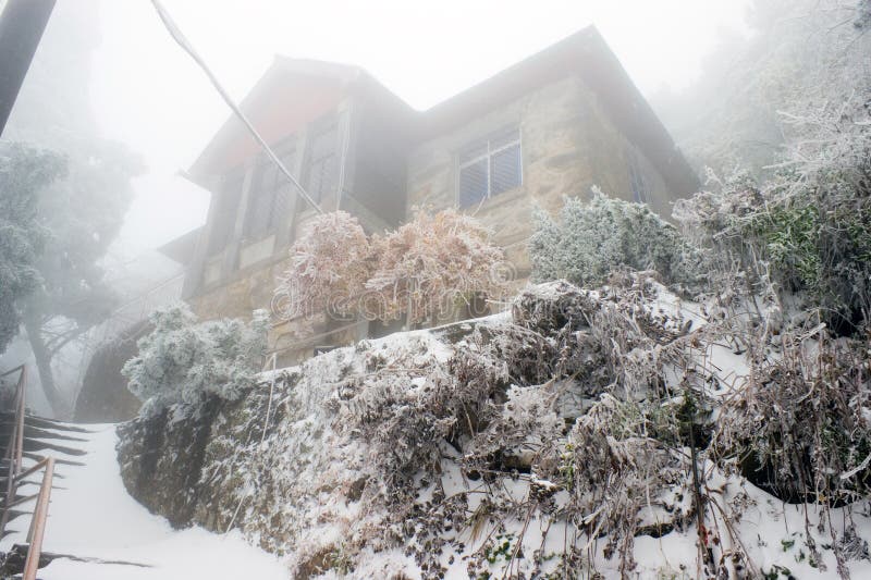 House in mist stock photo. Image of tree, white, wireline - 12320768