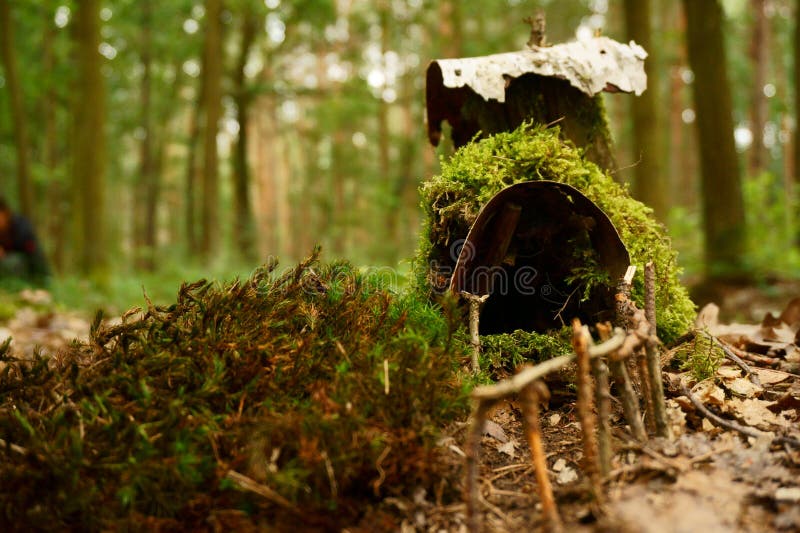 House from moss stock image. Image of forest, concept - 75847699