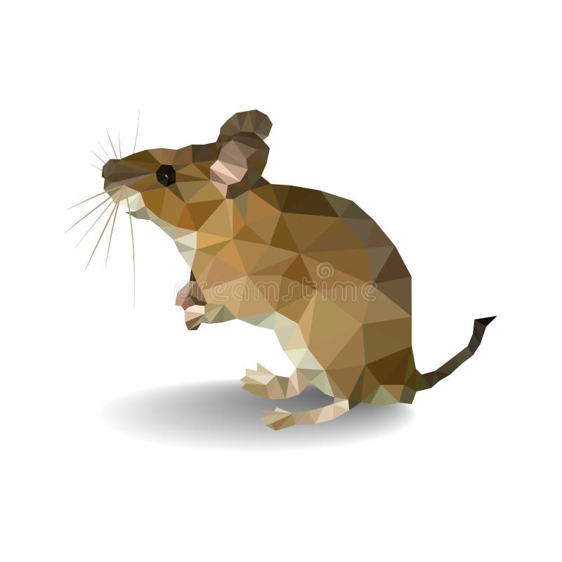 House Mouse Stock Illustrations – 4,886 House Mouse Stock Illustrations ...