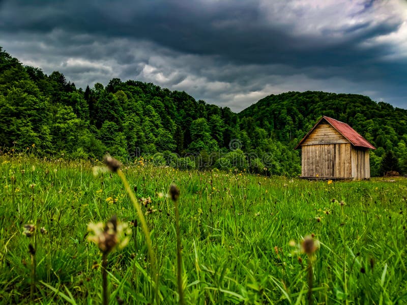 House in nature stock photo. Image of nature, plants - 148213020