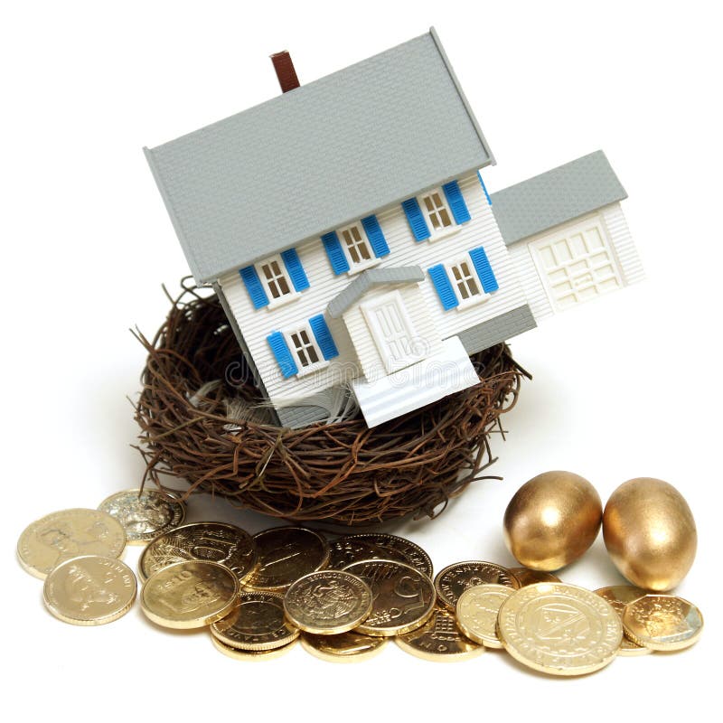 House in a Nest stock photo. Image of real, savings, nest - 18142698