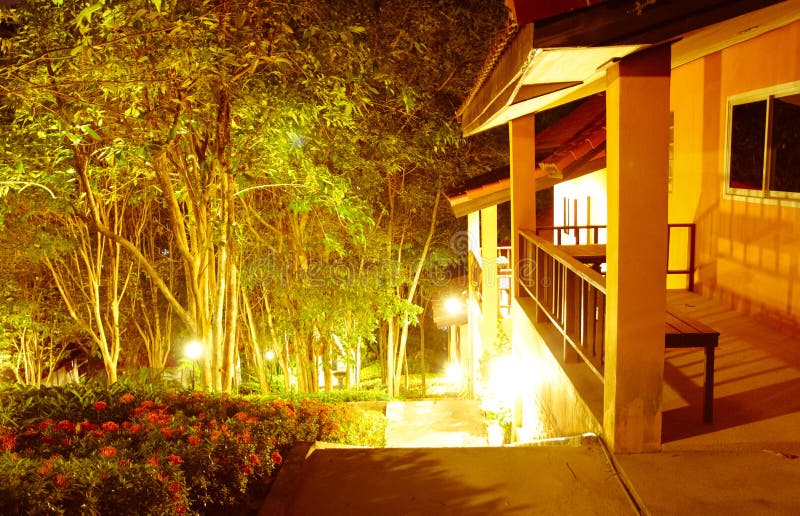 Backyard Garden Path at Night Stock Image - Image of plant, nature ...