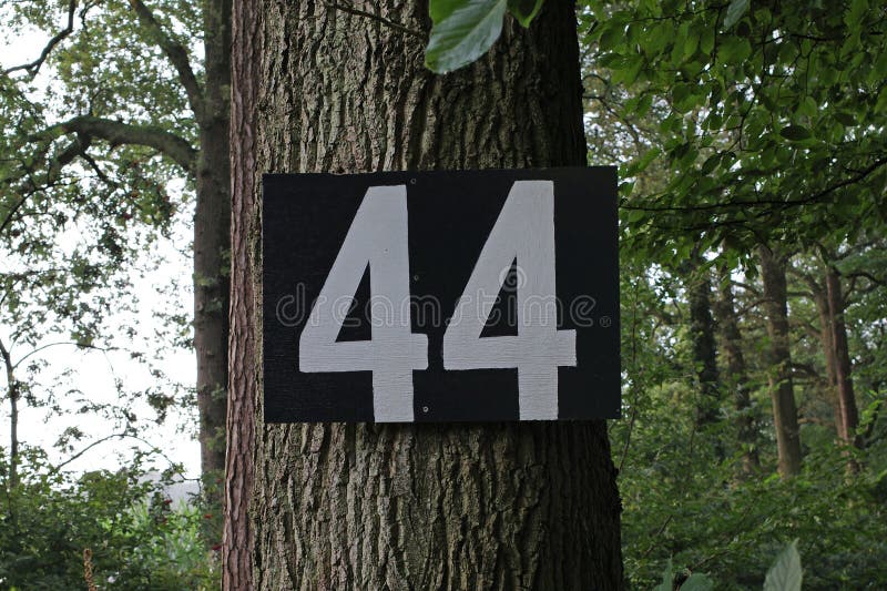 House number 44 stock image. Image of wood, environment - 332254415