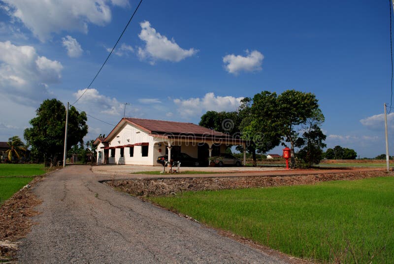 Farm House And Paddy Field Picture. Image: 2375125