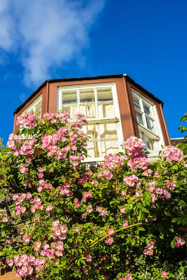A House with Pink Climbing Roses Stock Image - Image of rose, entrance ...