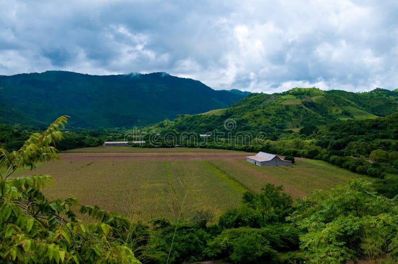 House on the plain stock photo. Image of massif, tree - 16258934
