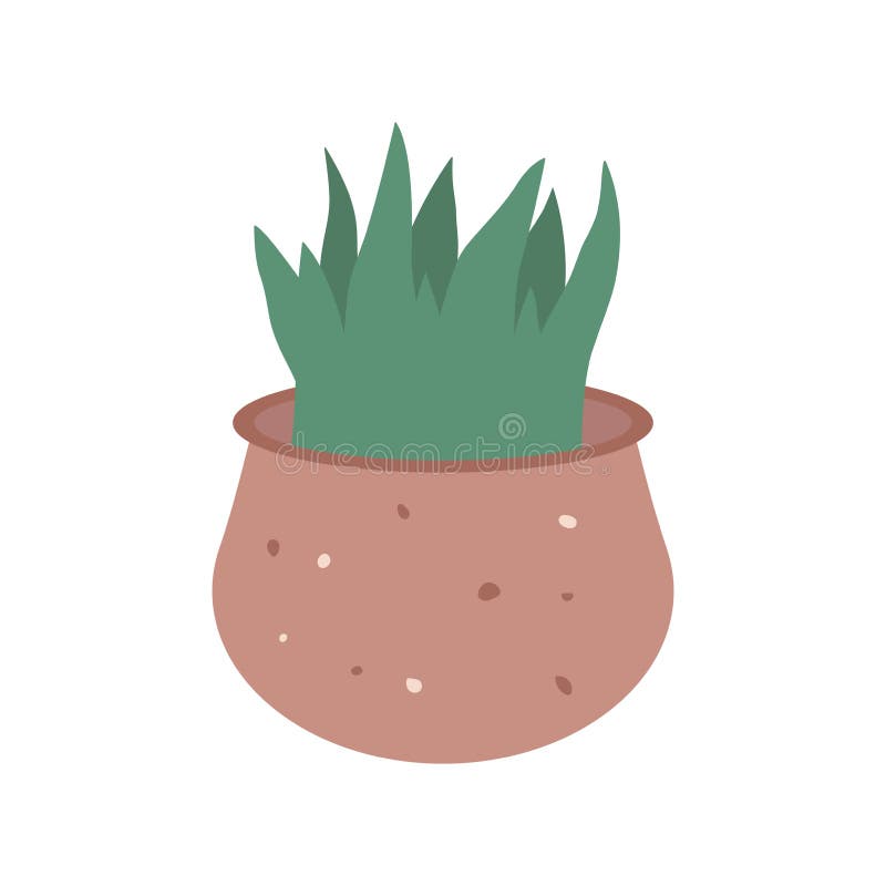 House Plant In Pot Isolated On White Background Stock Vector