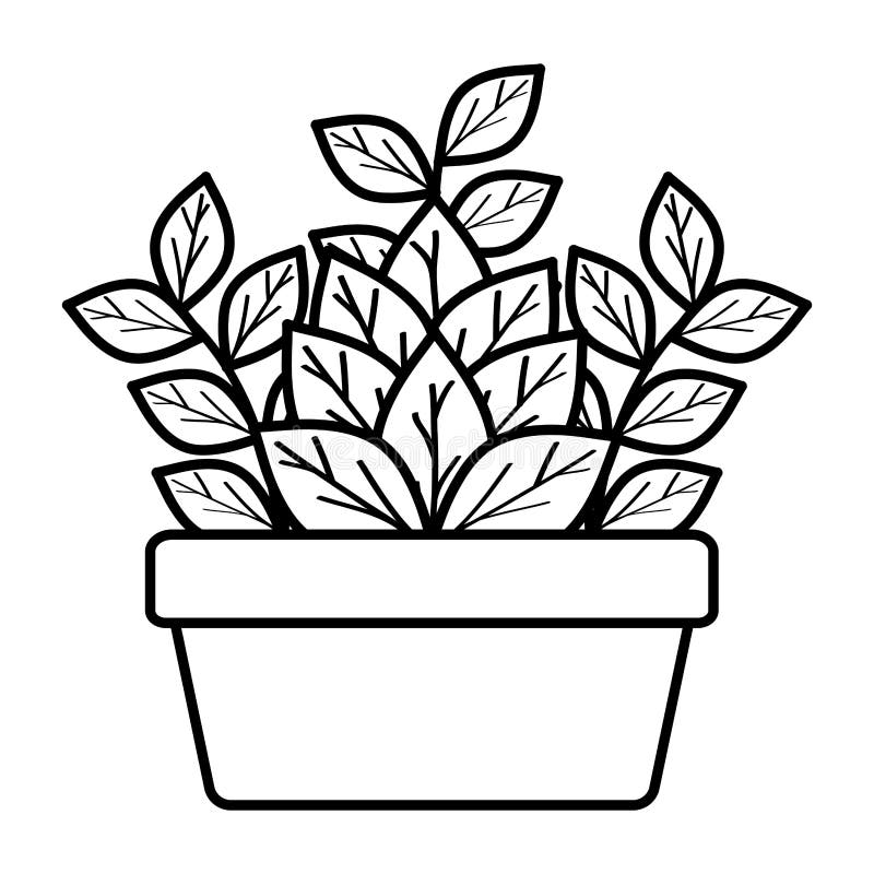 House Plant In Square Ceramic Pot Stock Vector Illustration Of Potted