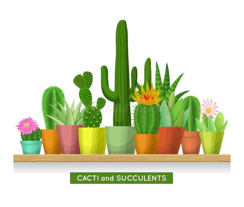 House plants on the shelf stock illustration. Illustration of design ...