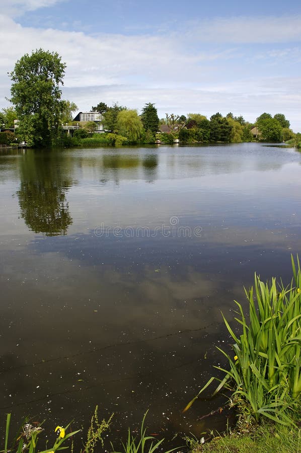 House on pond stock image. Image of tree, water, landscape - 941433