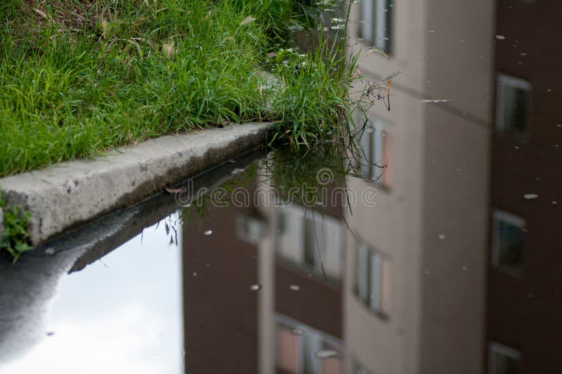 House Reflected in a Puddle Stock Photo - Image of famous, house: 56650410