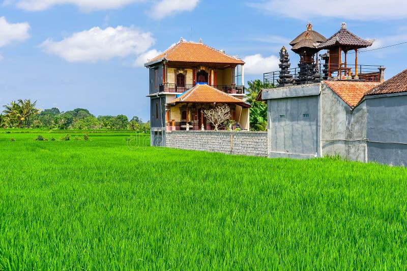 716 Ubud Rice Field House Stock Photos - Free & Royalty-Free Stock ...