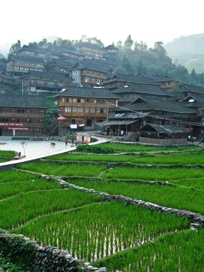 House in the rice fields stock image. Image of landscape - 69062937