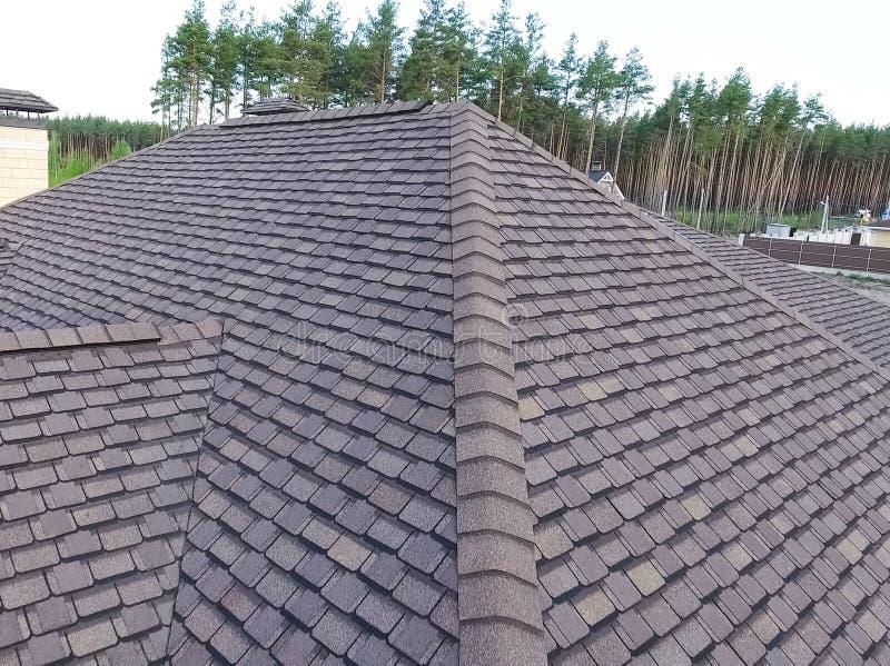 Bituminous Tile for a Roof. House with a Roof from a Bituminous Stock ...