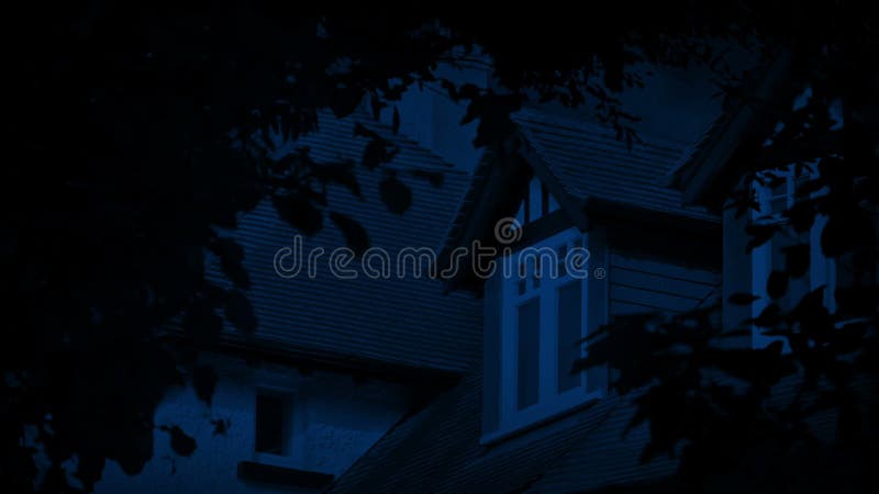 House Rooftop Window at Night with Foliage Moving Stock Footage - Video ...