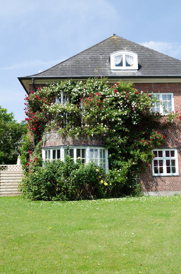 House with roses stock photo. Image of spring, large - 25781616